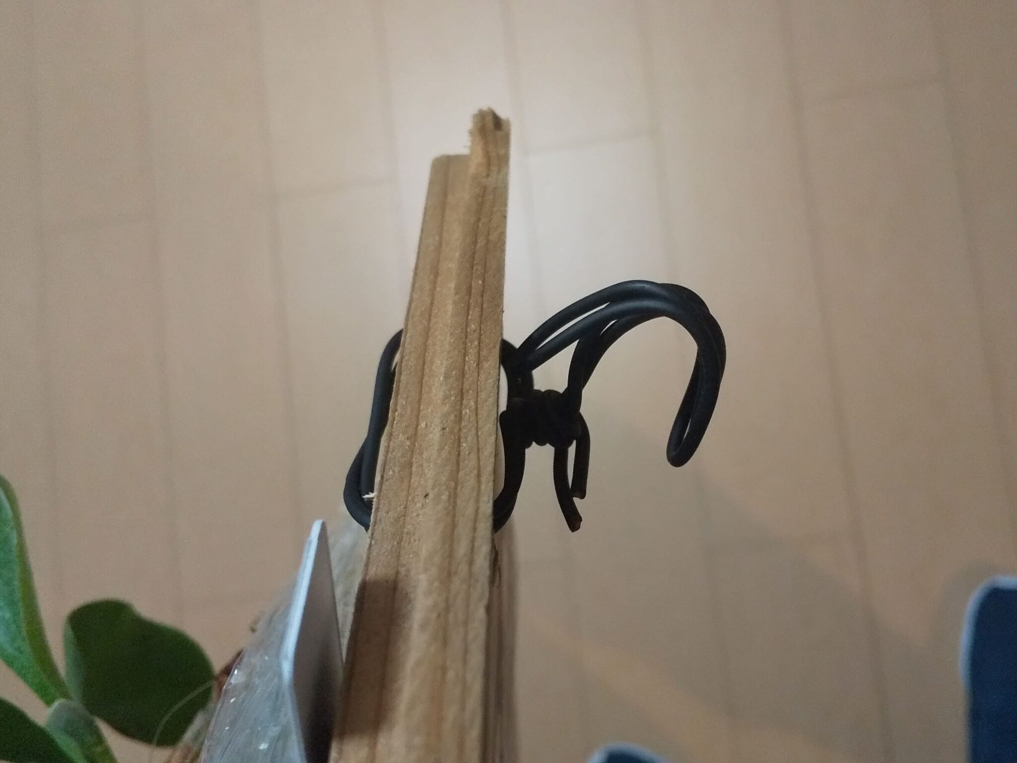 【初心者でもできる！】ビカクシダ用の板付け用板を自作してみよう！安く丈夫な焼杉板をDIY